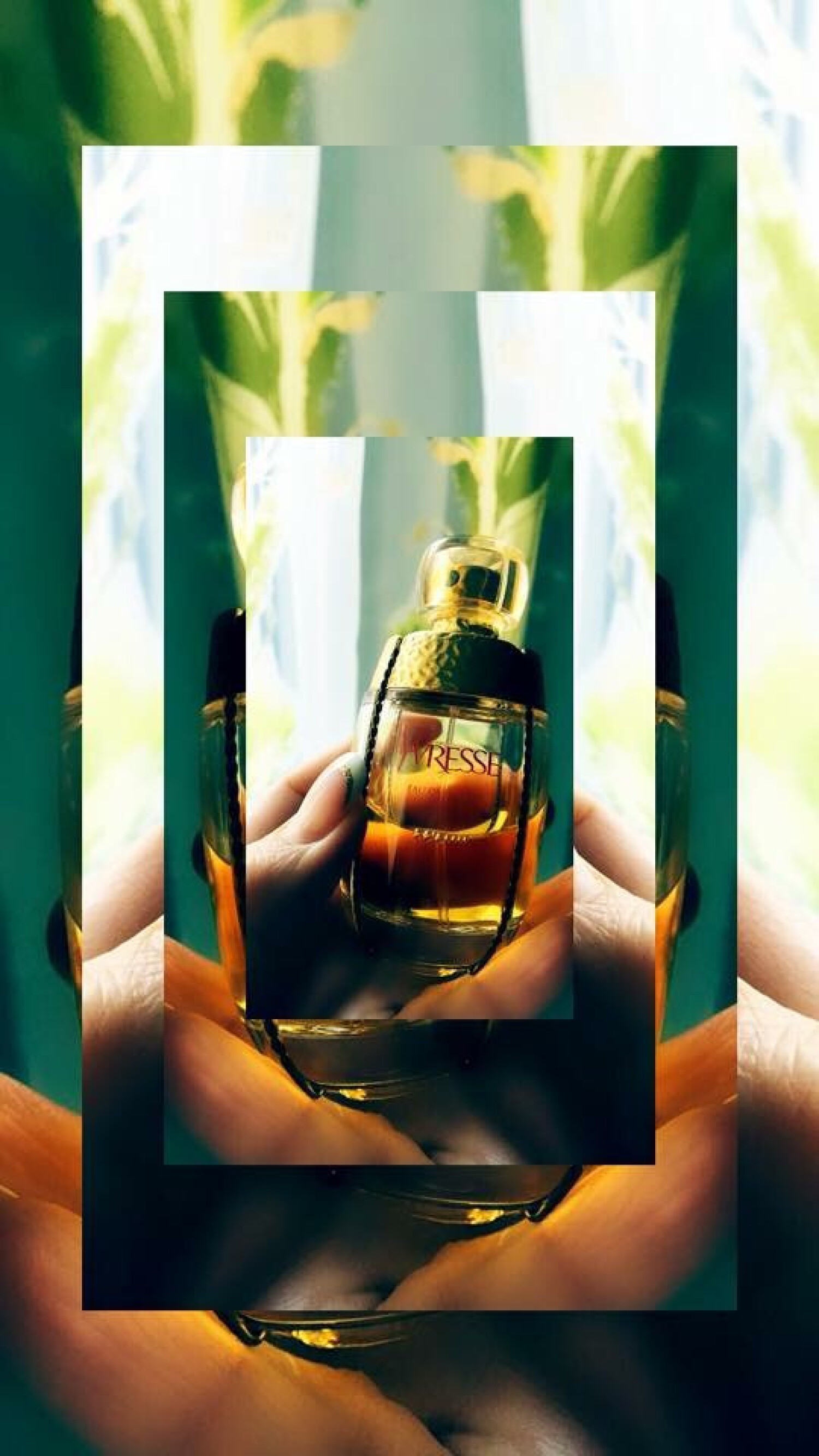Yvresse (Champagne) Yves Saint Laurent perfume - a fragrance for women 1993