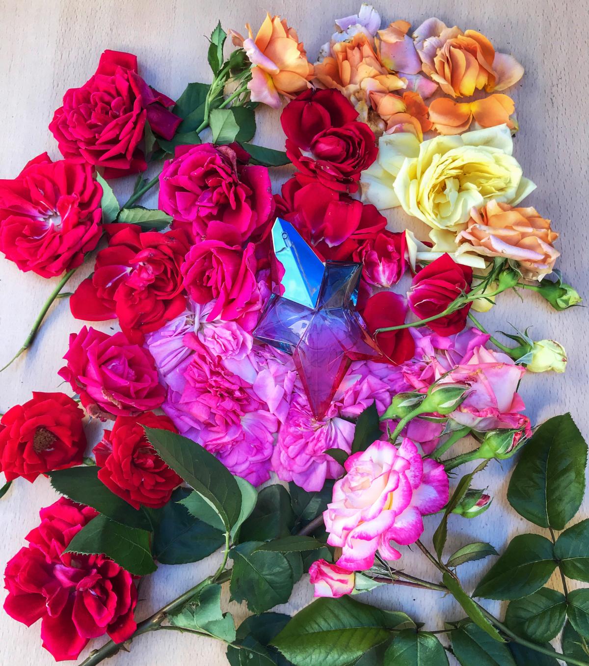 Angel Eau Croisière 2020 Mugler perfume - a new fragrance for women 2020