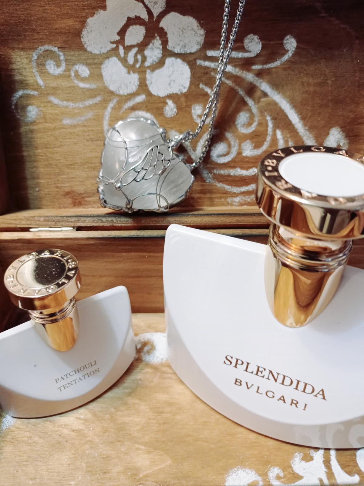 Splendida Patchouli Tentation Bvlgari perfume - a fragrance for women 2020