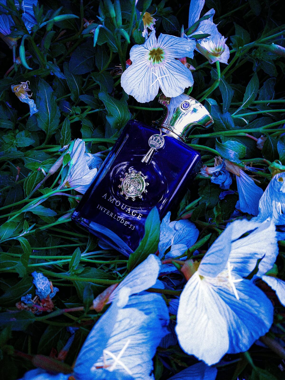 Interlude 53 Man Amouage cologne - a fragrance for men 2020