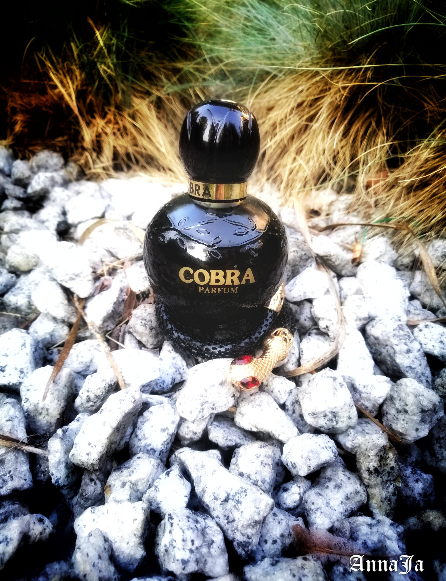 Cobra Jeanne Arthes perfume - a fragrance for women