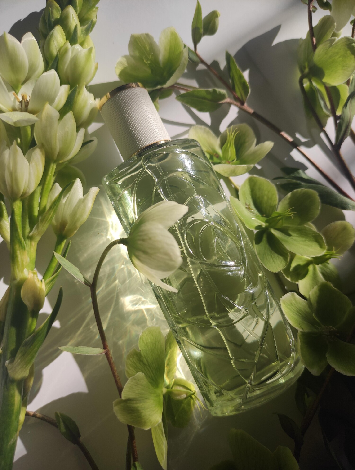 Ôff Now Lancôme perfume - a new fragrance for women and men 2025