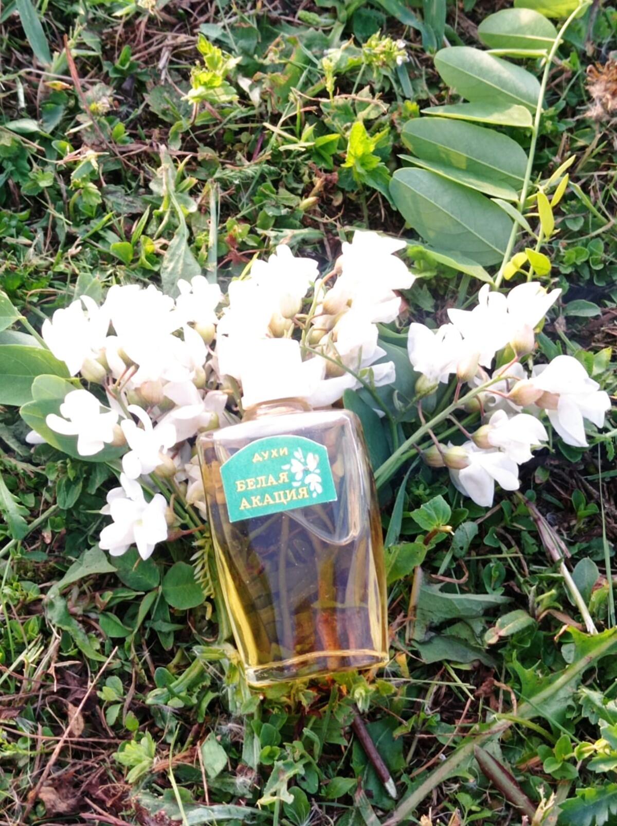 Белая Акация (White Acacia) Северное сияние عطر - a fragrance للنساء 1953