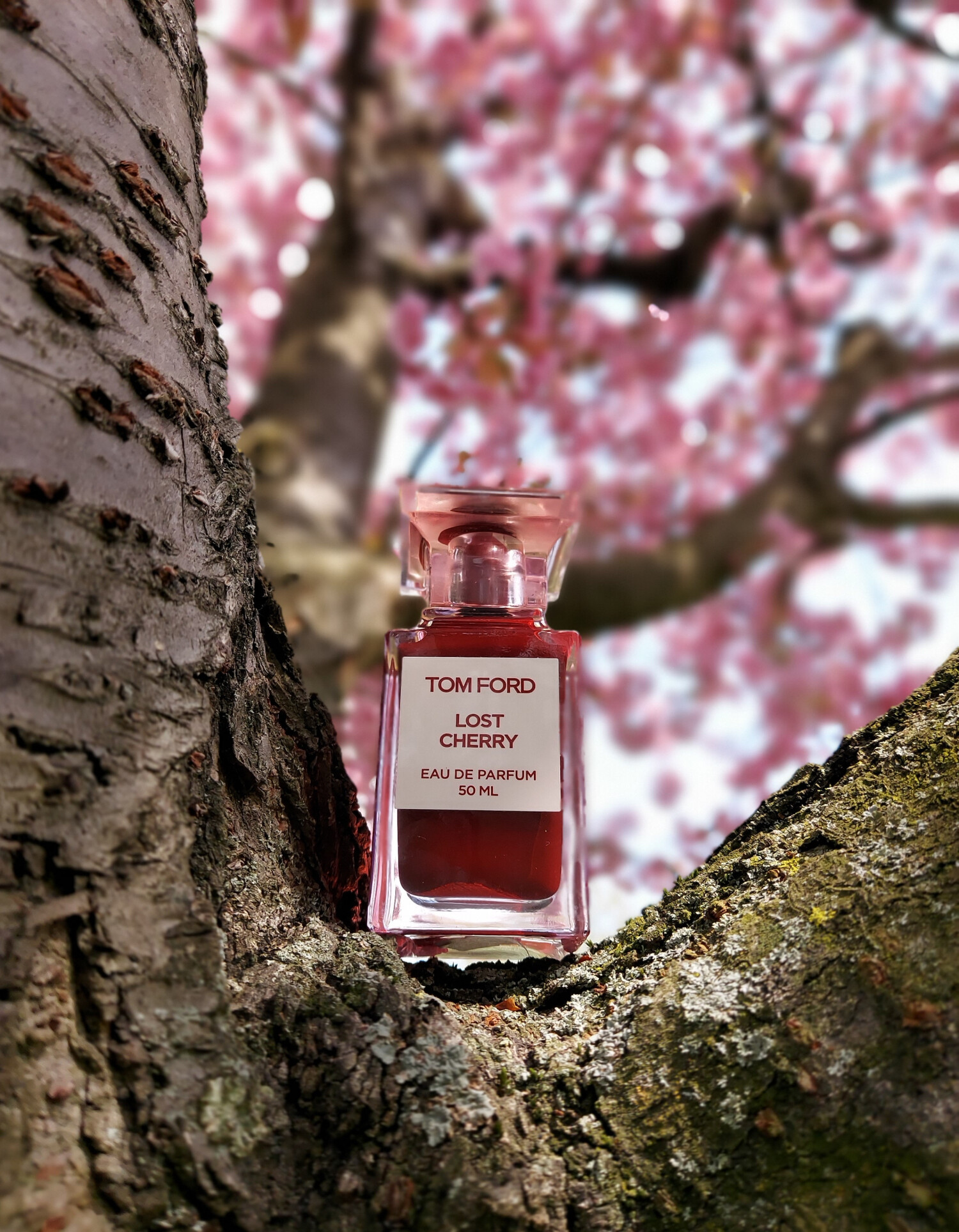 Lost Cherry Tom Ford perfume - a fragrance for women and men 2018