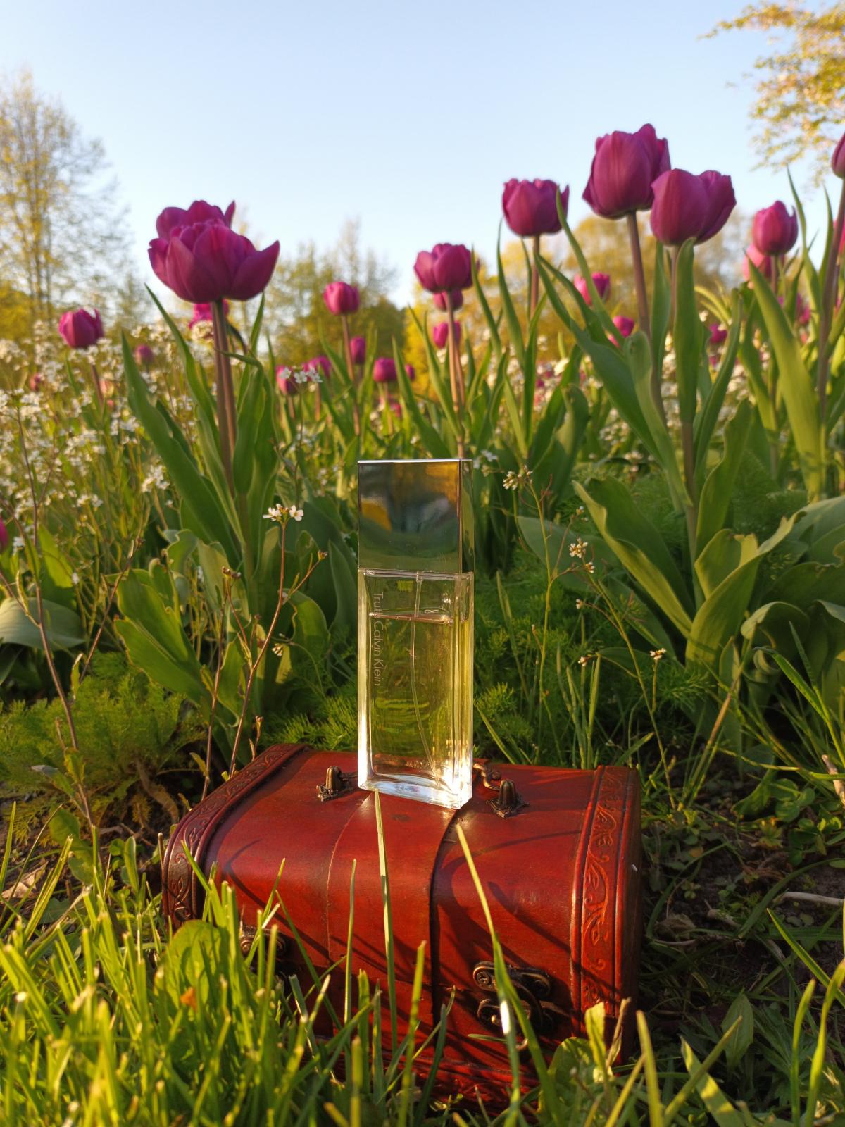 Truth Calvin Klein perfume - a fragrance for women 2000