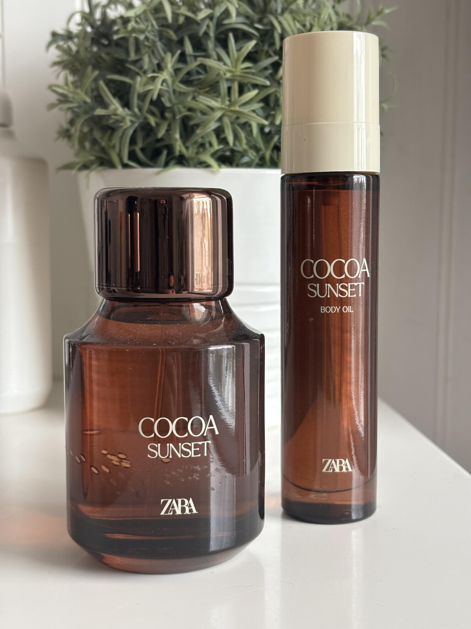 Cocoa Sunset Zara perfume - a new fragrance for women 2025