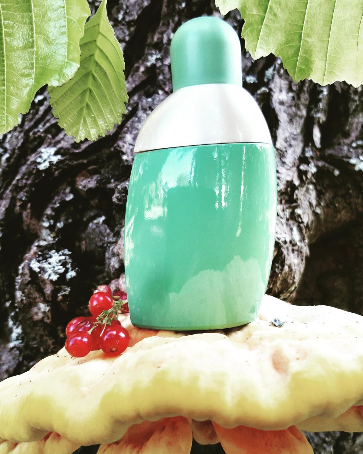 Eden Cacharel аромат — аромат для женщин 1994