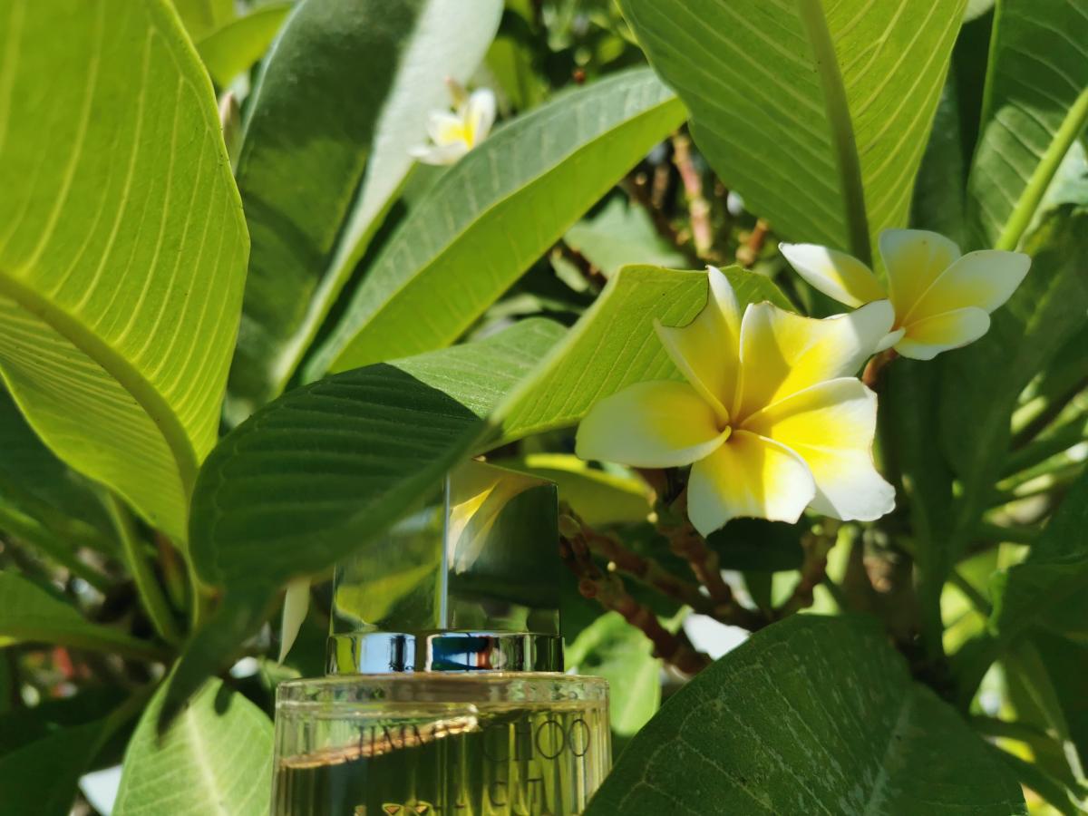Illicit Jimmy Choo Perfume A Fragrance For Women 2015