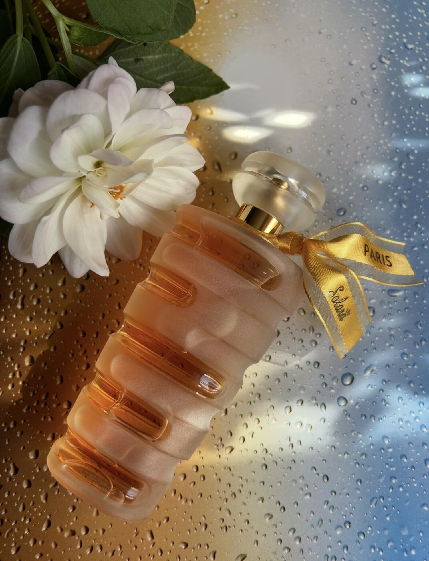 Solara Lomani perfume - a fragrance for women