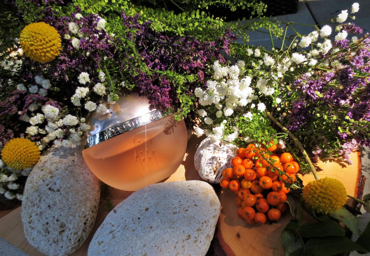 1881 Cerruti perfume - a fragrance for women 1995