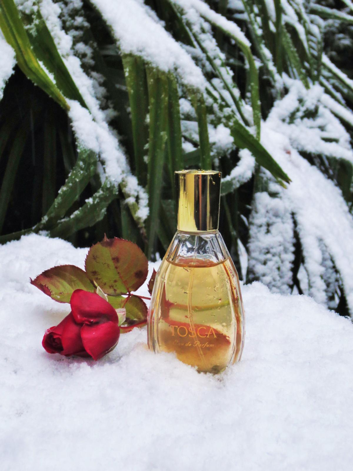 Tosca Tosca perfume - a fragrance for women 1921