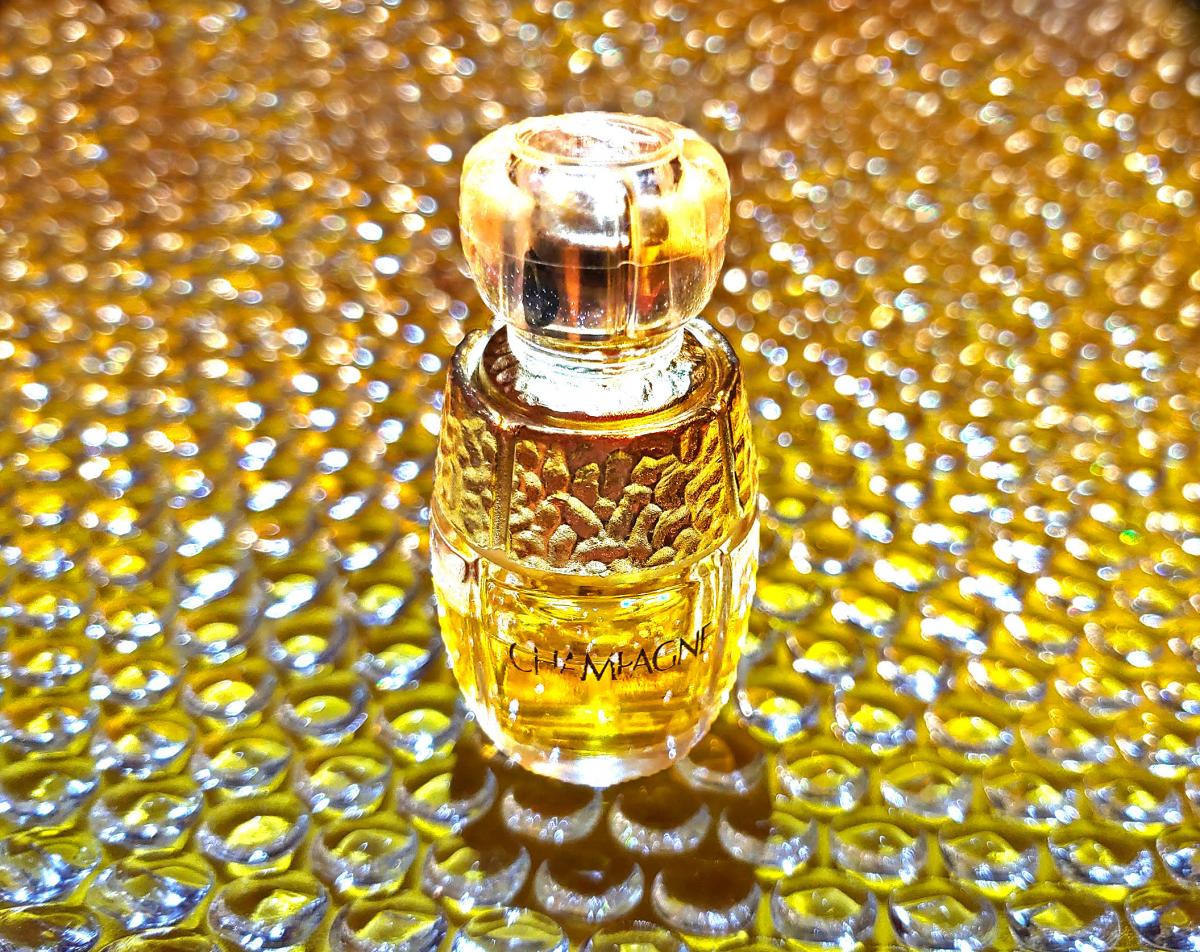 Yvresse (Champagne) Yves Saint Laurent perfume - a fragrance for women 1993