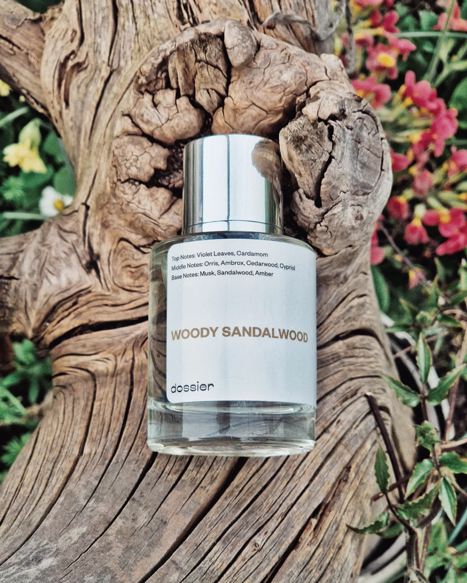 Woody Sandalwood Dossier perfume - a fragrance for women and men 2021