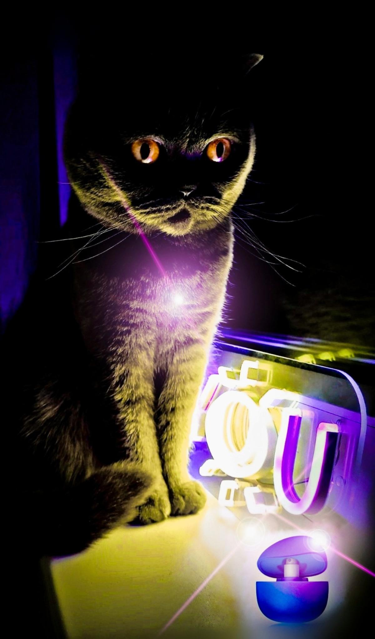 Chill AF Addison Rae perfume - a novo fragrância Feminino 2023