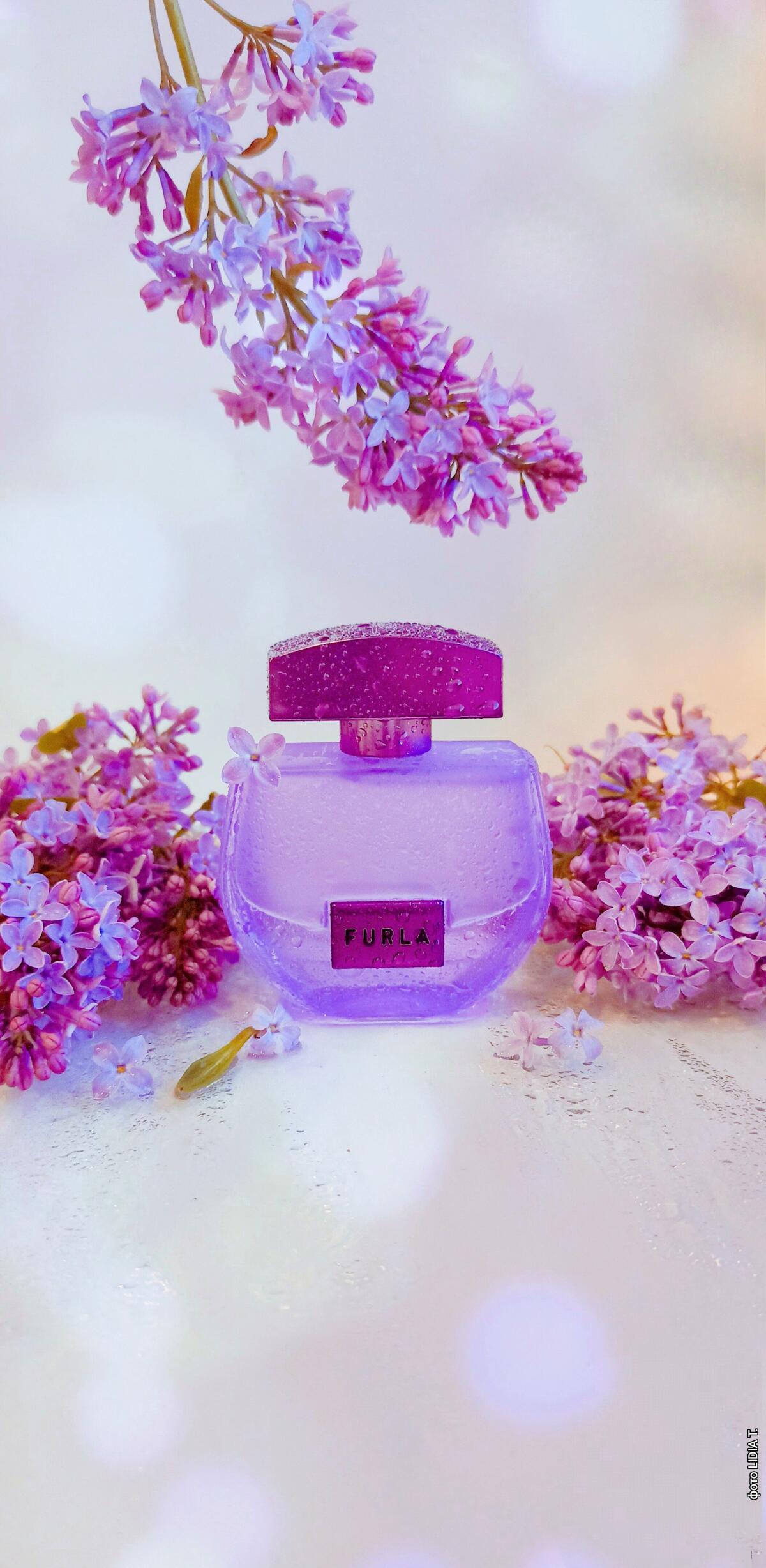 Mistica Furla perfume - a fragrance for women 2023