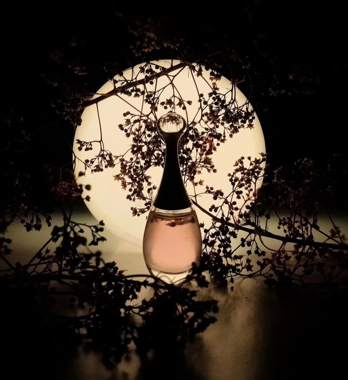 J'Adore Infinissime Dior perfume - a fragrance for women 2020