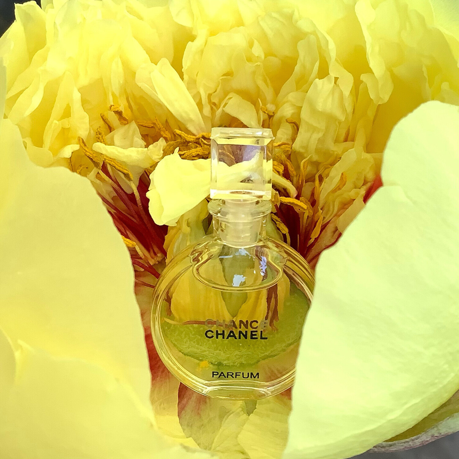 Chance Parfum Chanel perfume - a fragrance for women 2003