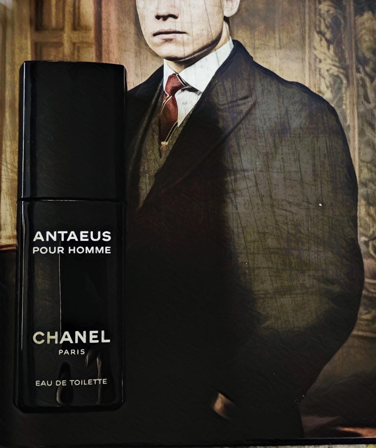 Antaeus Chanel cologne - a fragrance for men 1981