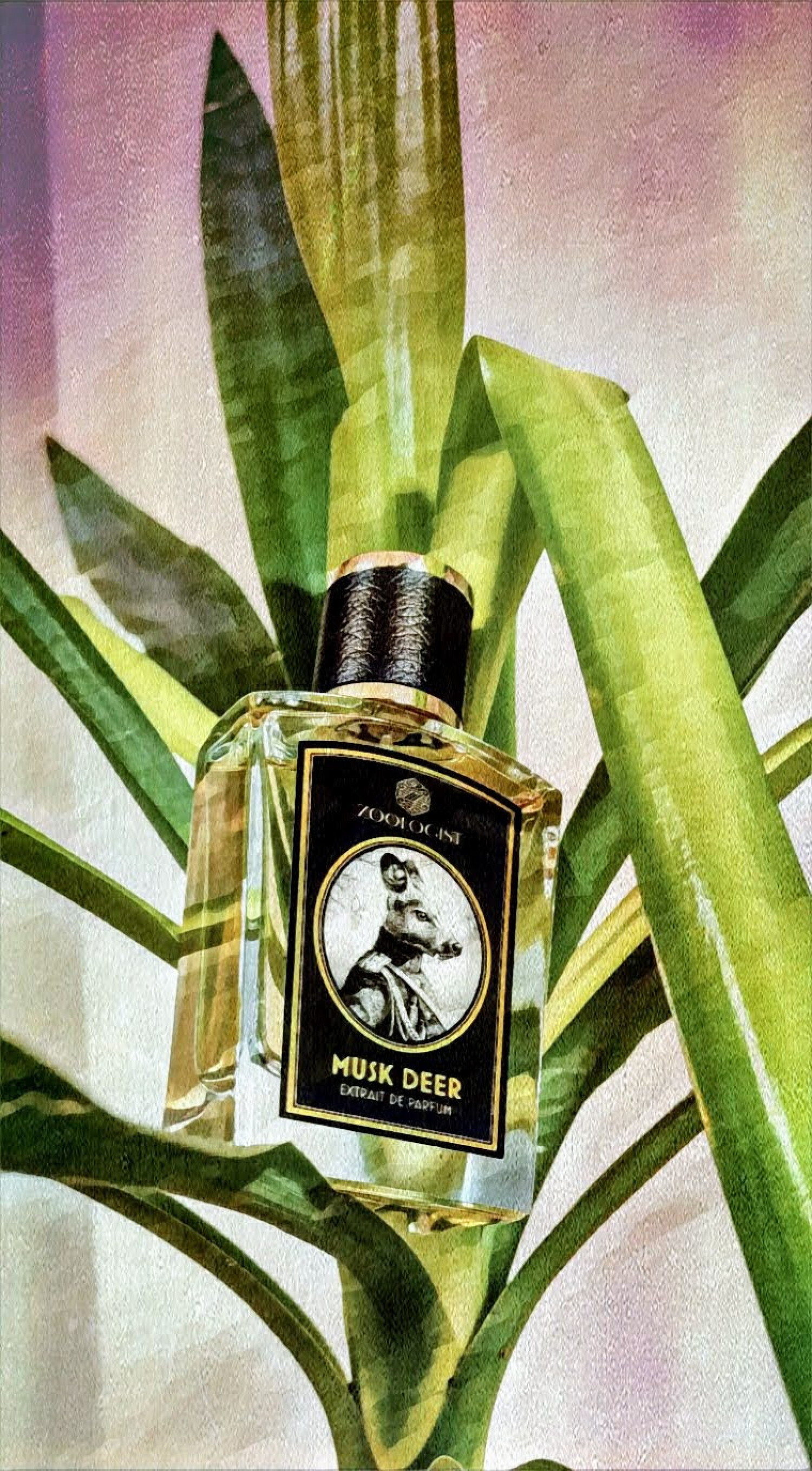 Musk Deer Zoologist Perfumes perfume - a fragrance for women and men 2020