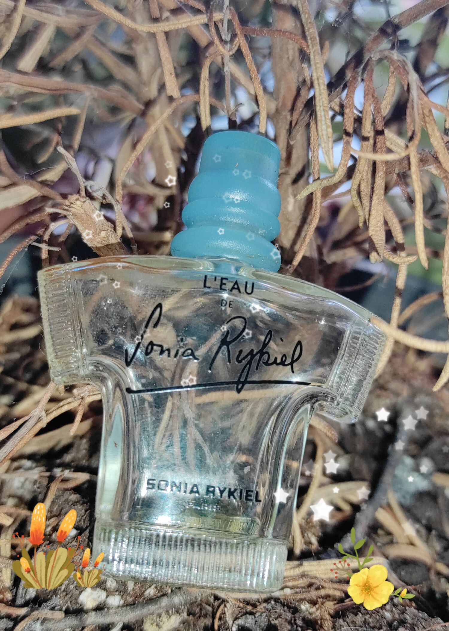 L'Eau de Sonia Rykiel Sonia Rykiel perfume - a fragrance for women 1998