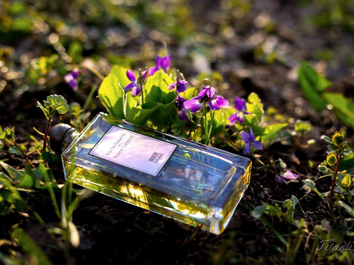 Bois de Violette Serge Lutens perfume - a fragrance for women and men 1992