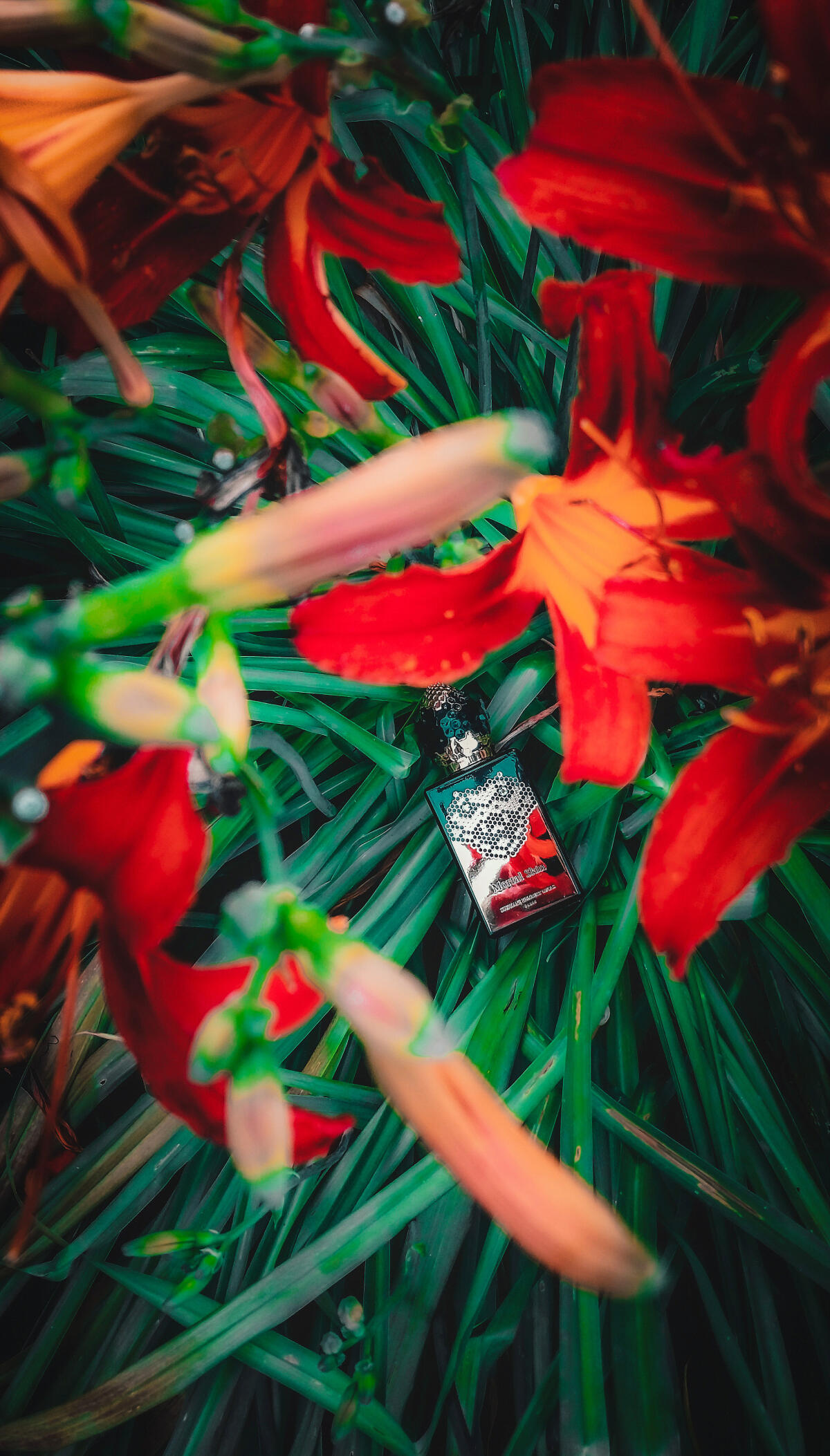 Mortal Skin Stéphane Humbert Lucas 777 perfume - a fragrance for women ...