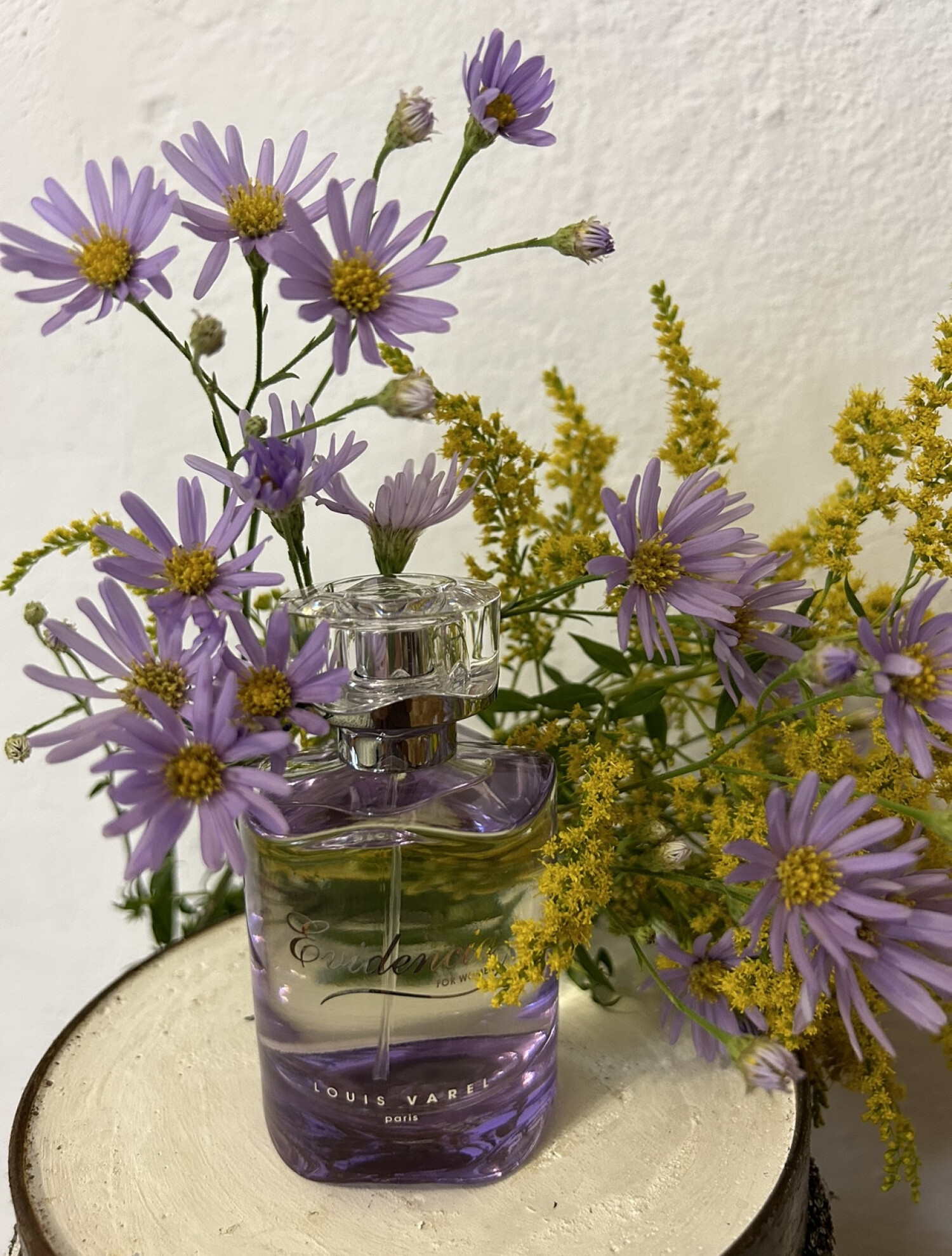 Evidencia Louis Varel perfume - a fragrance for women 2011