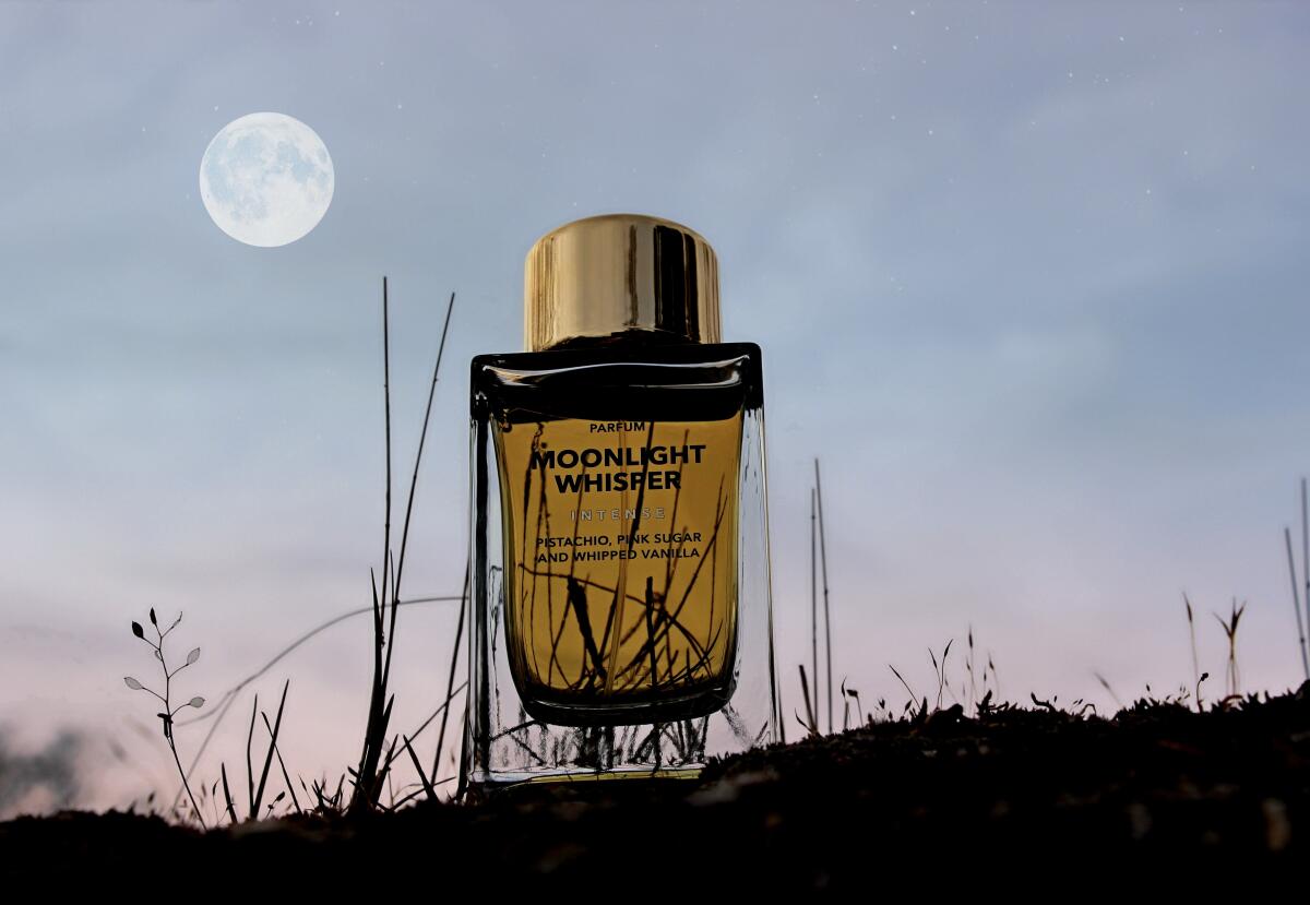 Moonlight Whisper Intense Zara perfume - a fragrance for women 2004