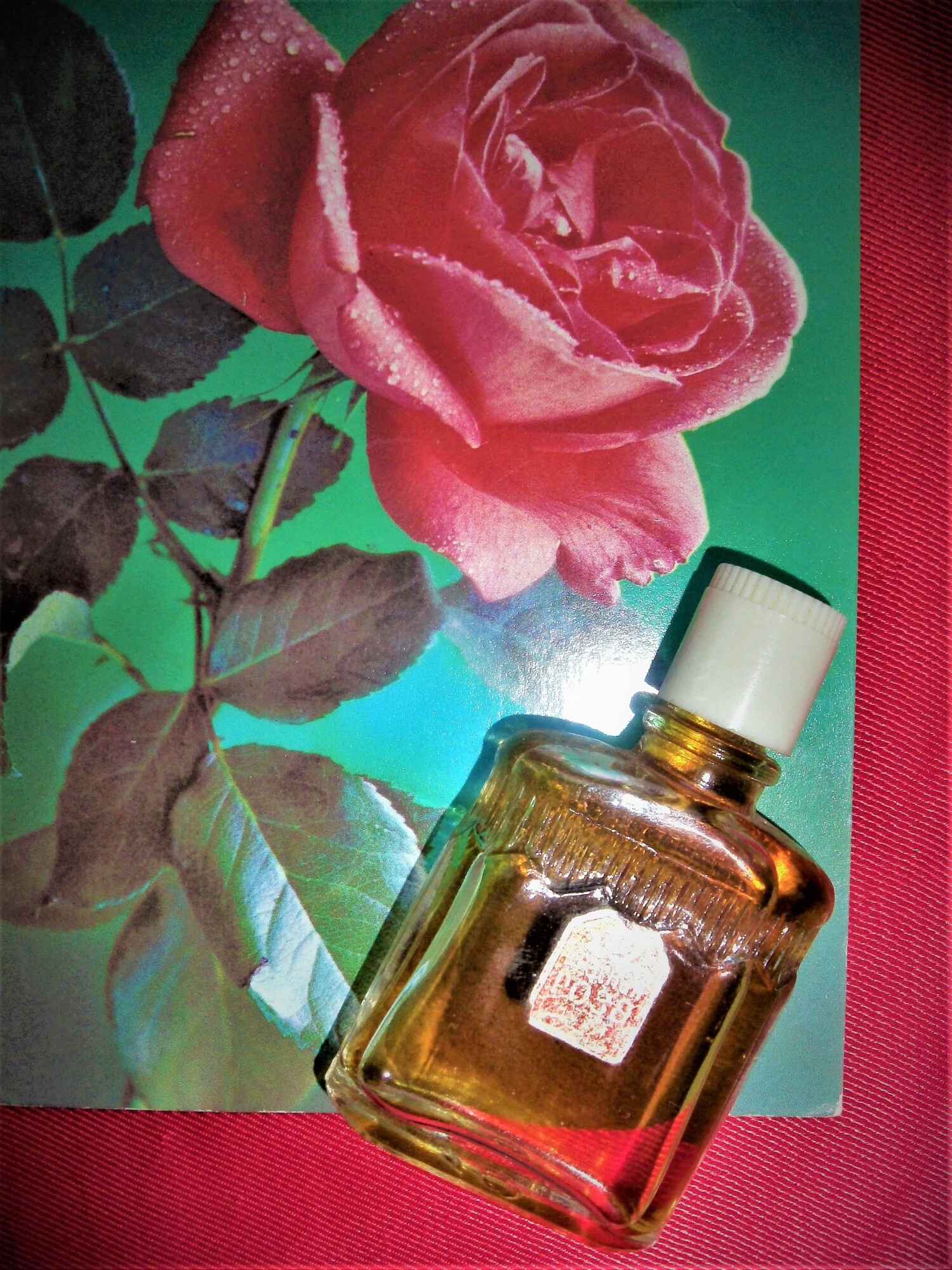 Красная Роза (Red Rose) Новая Заря (The New Dawn) perfume - a fragrance ...