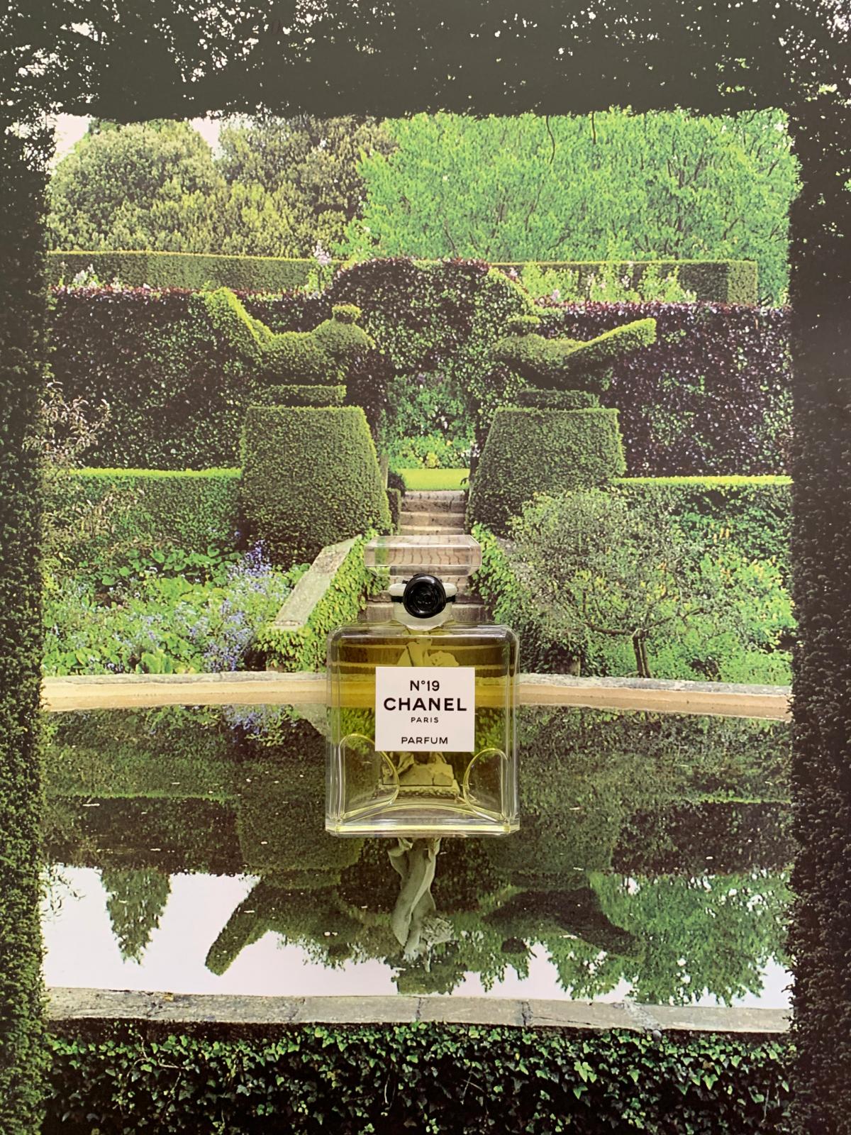 Chanel No 19 Parfum Chanel perfume - a fragrance for women 1970