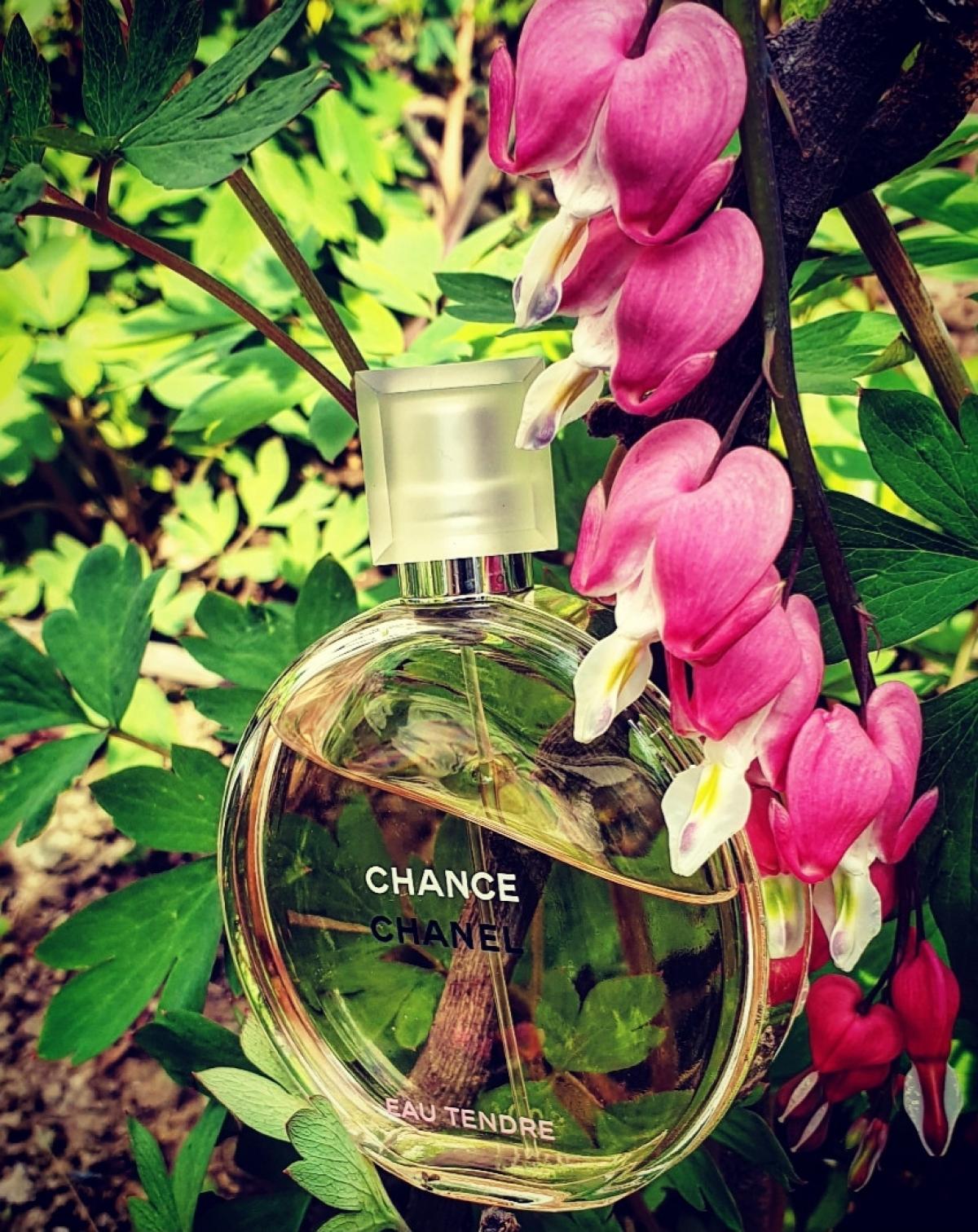 Chance Eau Tendre Chanel perfume - a fragrance for women 2010