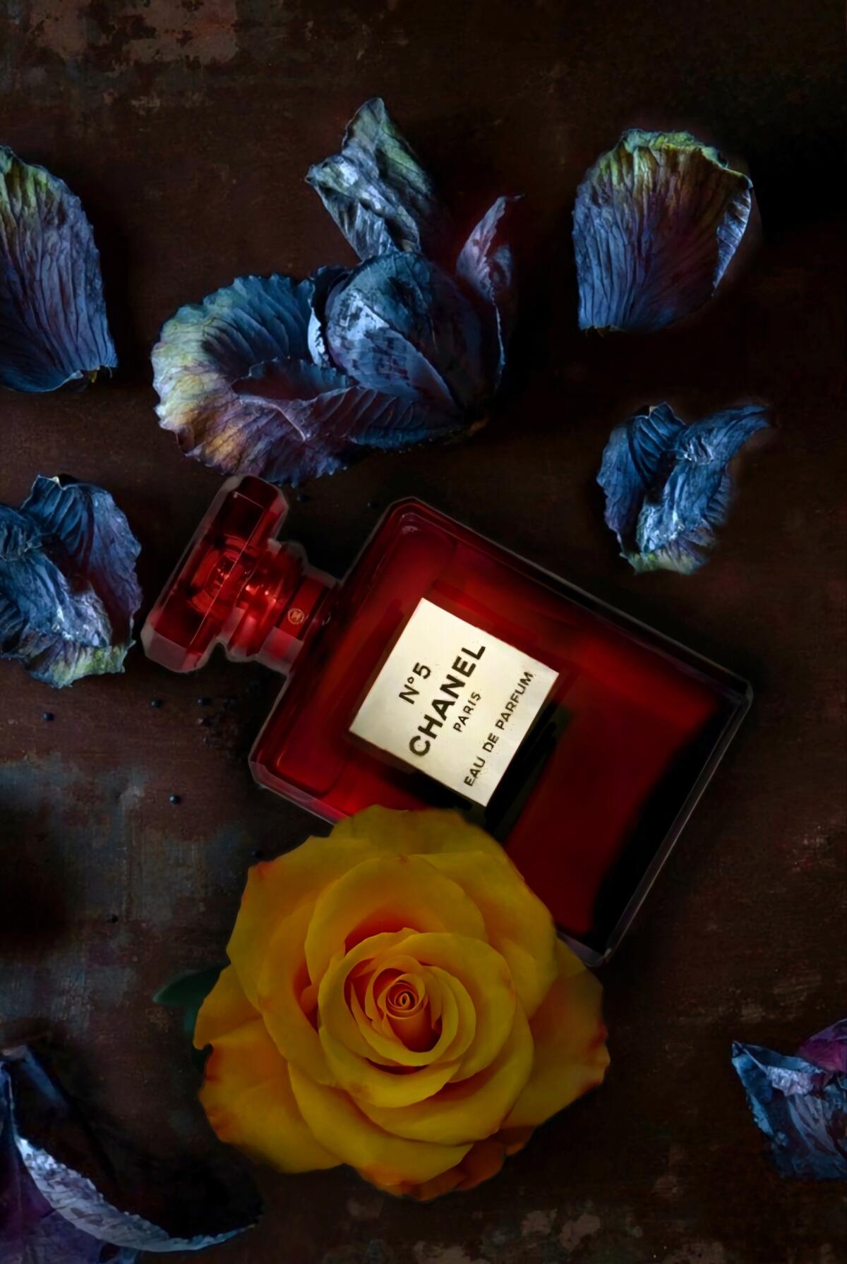 Chanel No 5 Eau de Parfum Red Edition Chanel perfume - a fragrance for ...