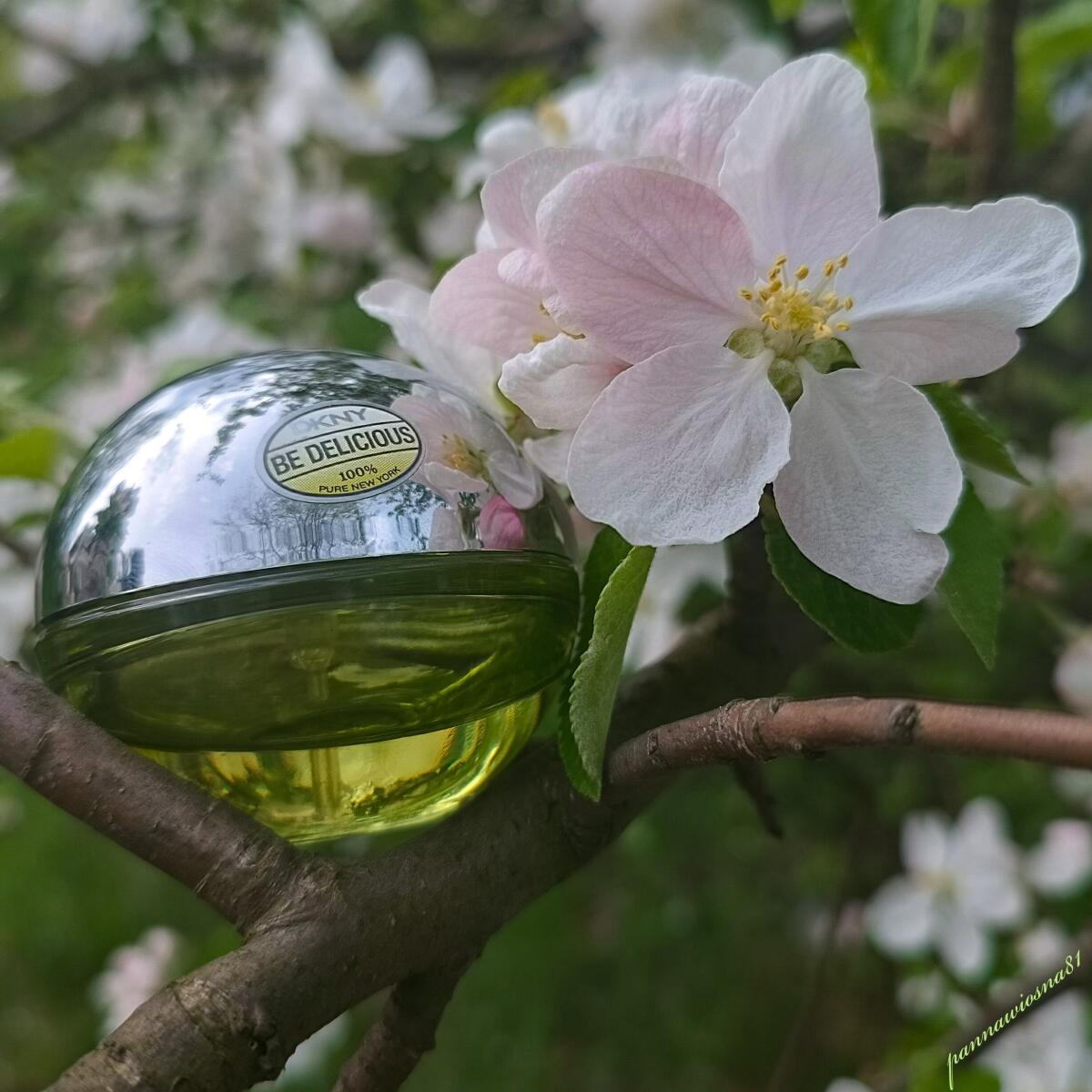 DKNY Be Delicious Donna Karan parfum - een geur voor dames 2004