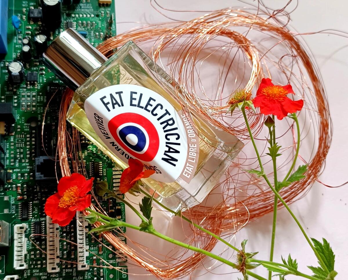 Fat Electrician Semi-Modern Vetiver Etat Libre d'Orange cologne - a ...