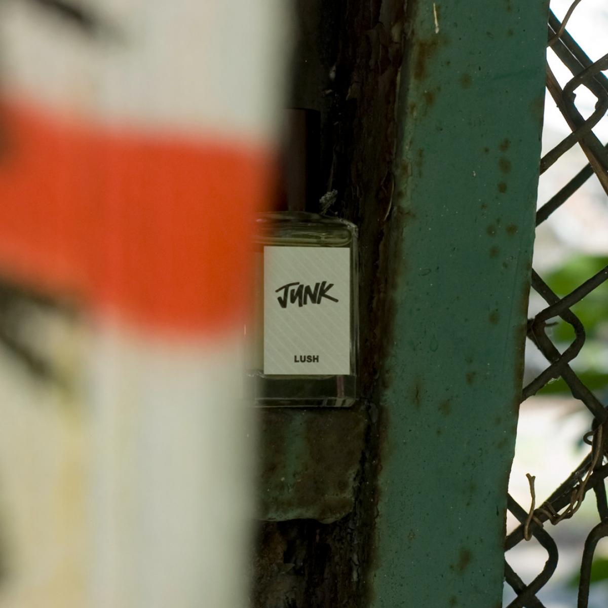 Junk Lush perfume - a fragrance for women and men 2019