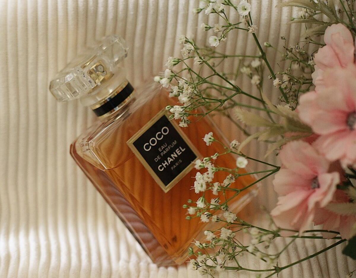 Coco Eau de Parfum Chanel perfume - a fragrance for women 1984