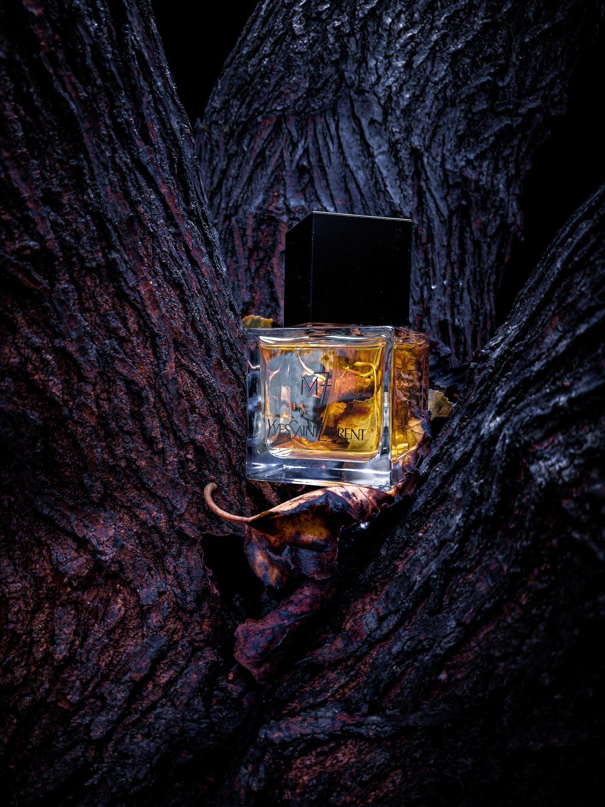 M7 Yves Saint Laurent cologne - a fragrance for men 2002