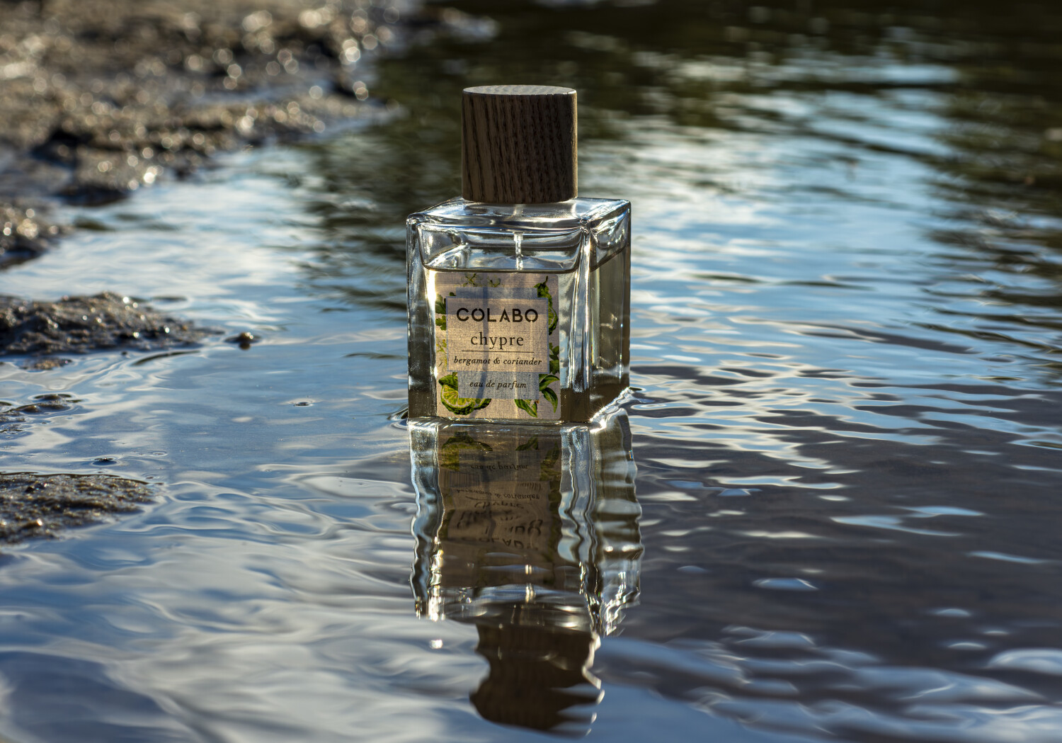 Chypre Bergamot & Coriander COLABO perfume - a fragrance for women and ...