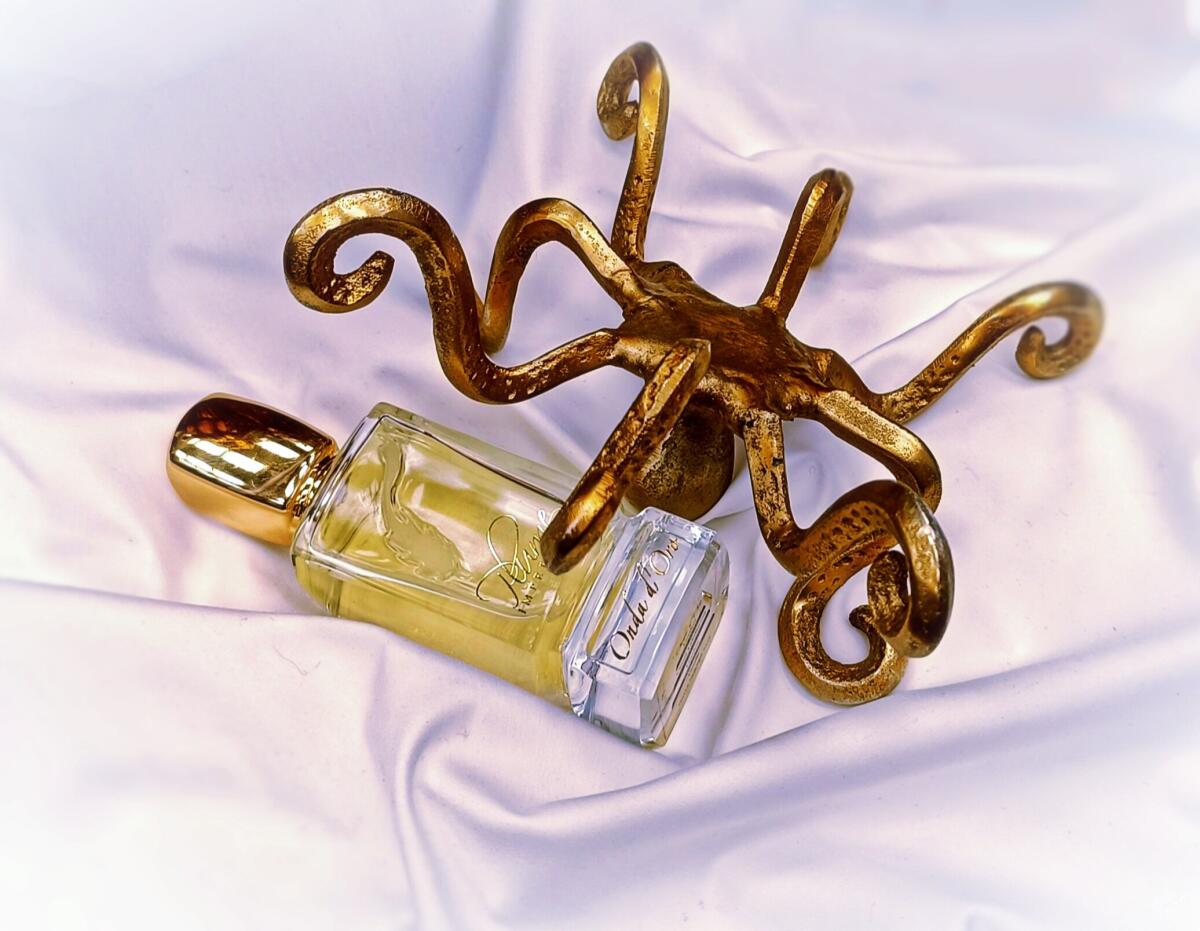 Onda d'Oro Plume Impression perfume - a new fragrance for women and men ...