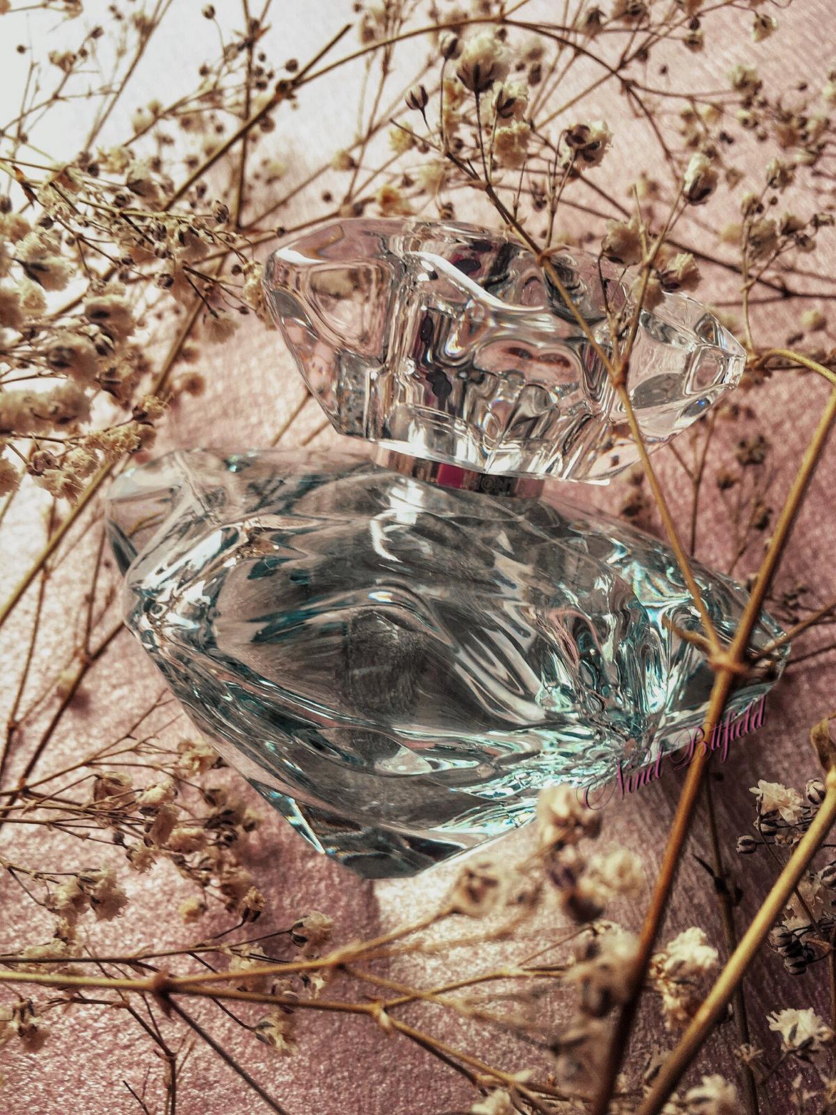 Lady Emblem L'Eau Montblanc perfume - a fragrance for women 2017