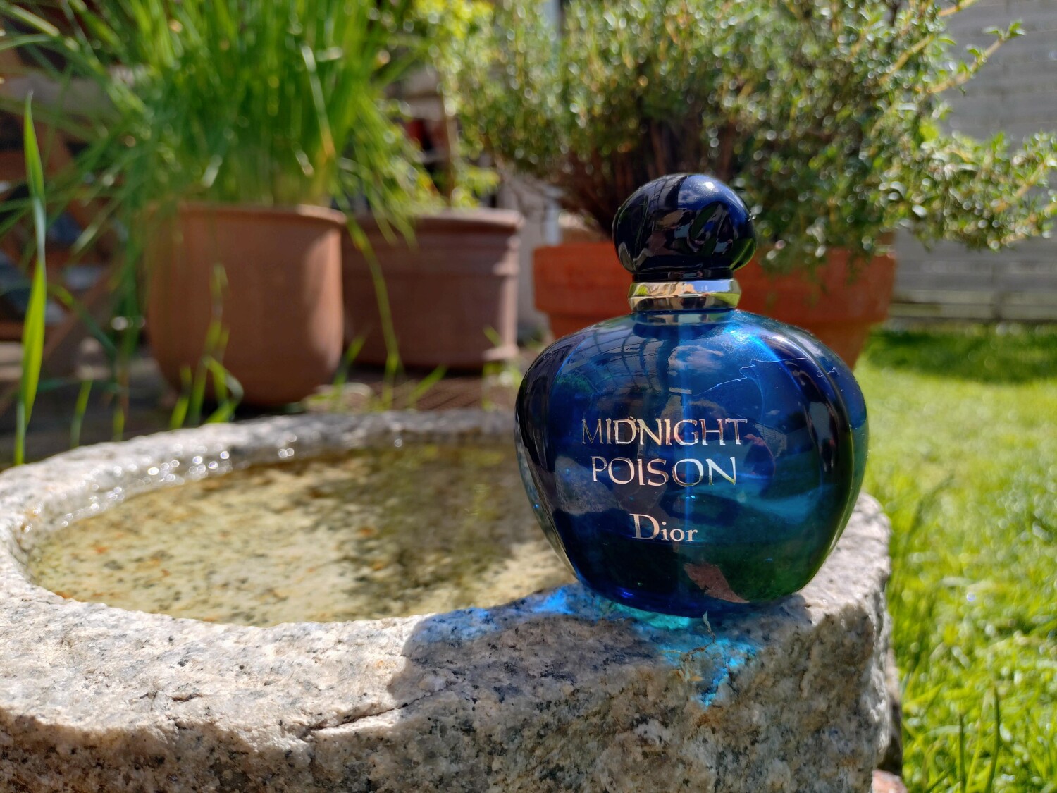 Midnight Poison Dior perfume - a fragrance for women 2007