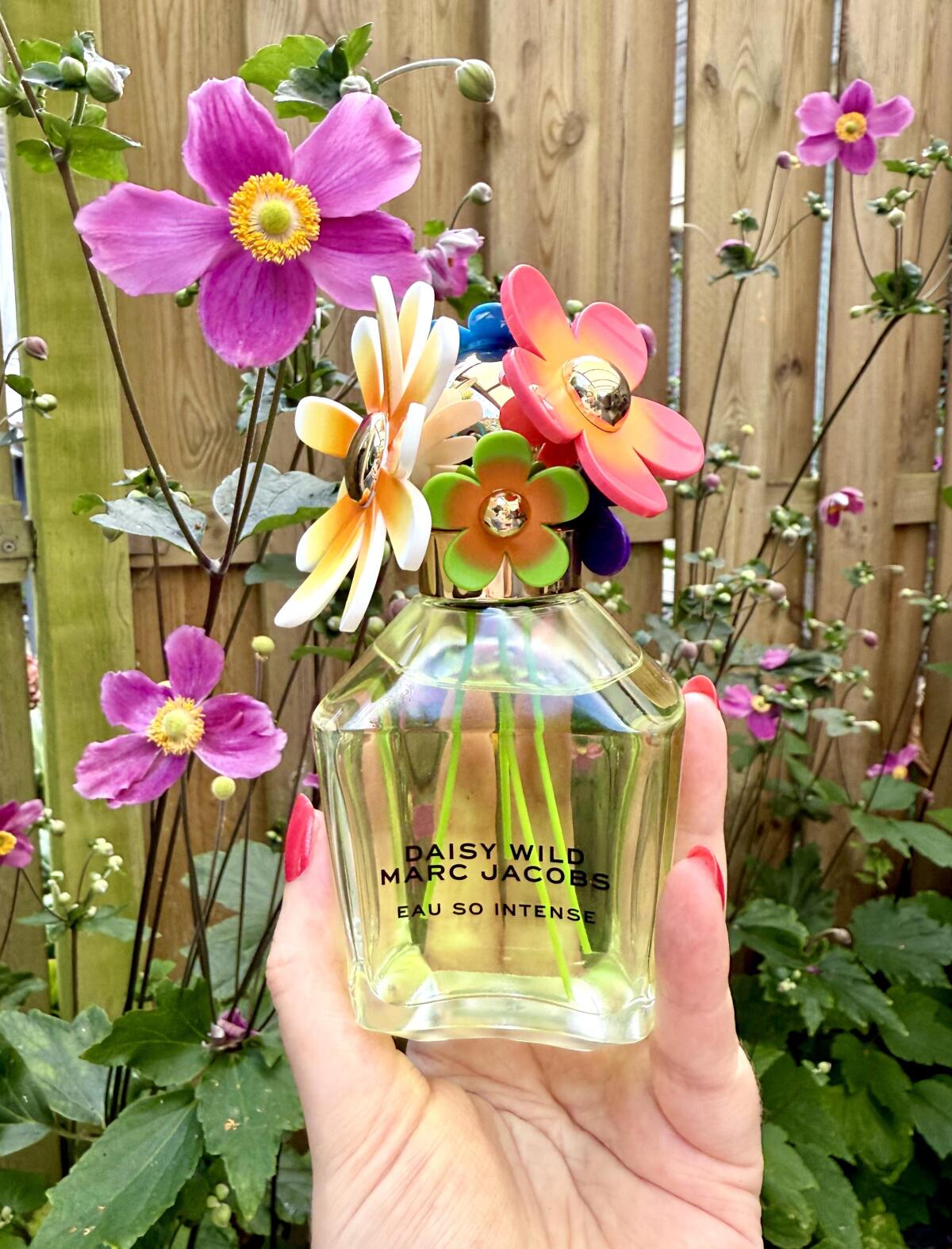 Daisy Wild Eau So Intense Marc Jacobs perfumy - to nowe perfumy dla ...