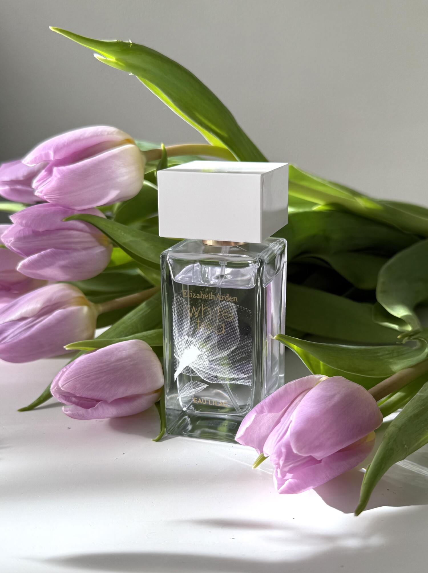 White Tea Eau Lilac Elizabeth Arden perfume - a new fragrance for women ...