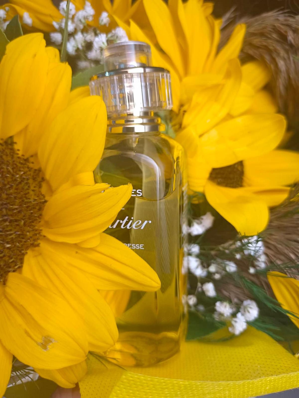 Allégresse Cartier perfume - a fragrance for women and men