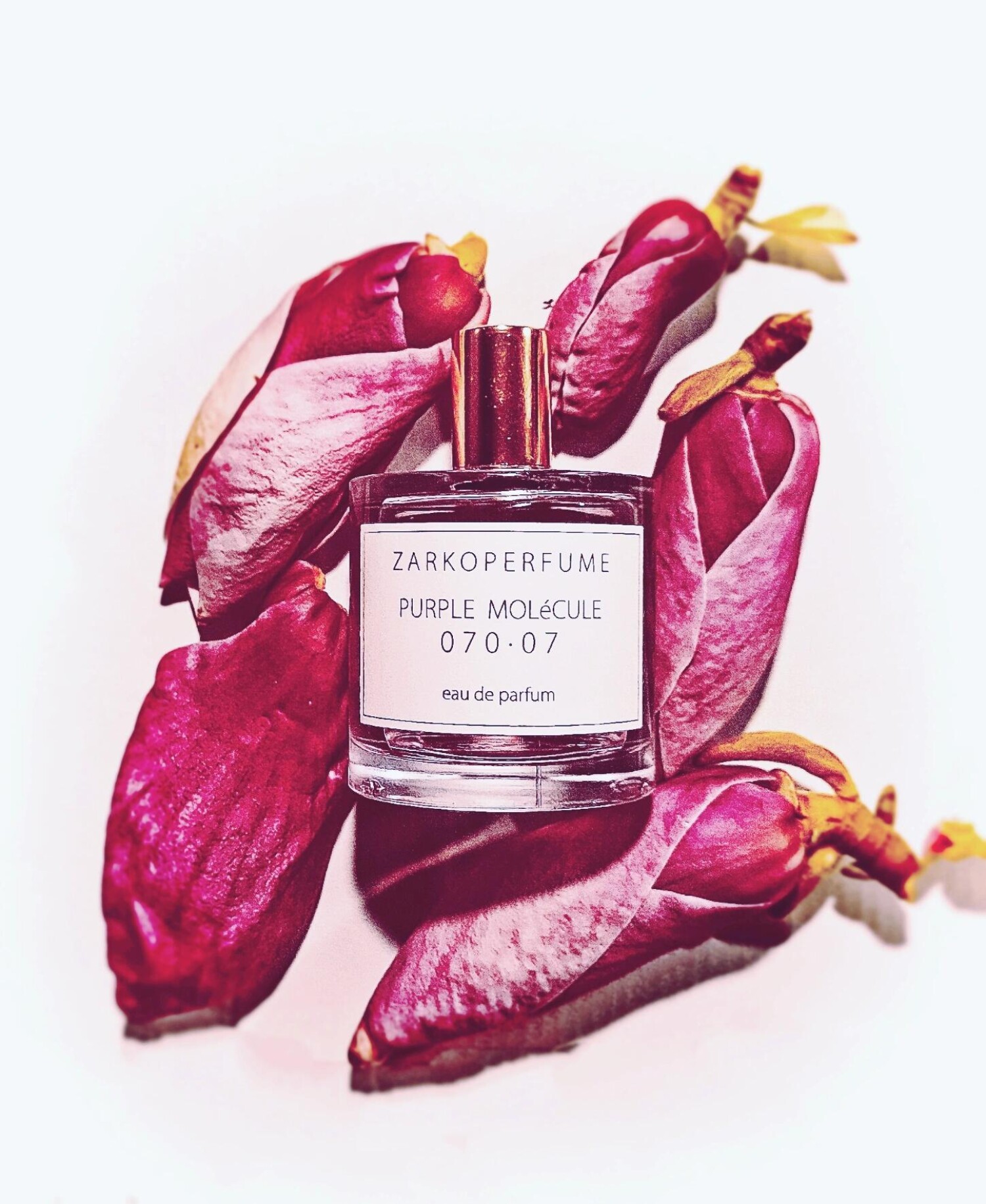 Purple Molecule 070 · 07 ZARKOPERFUME perfume - a fragrance for women ...