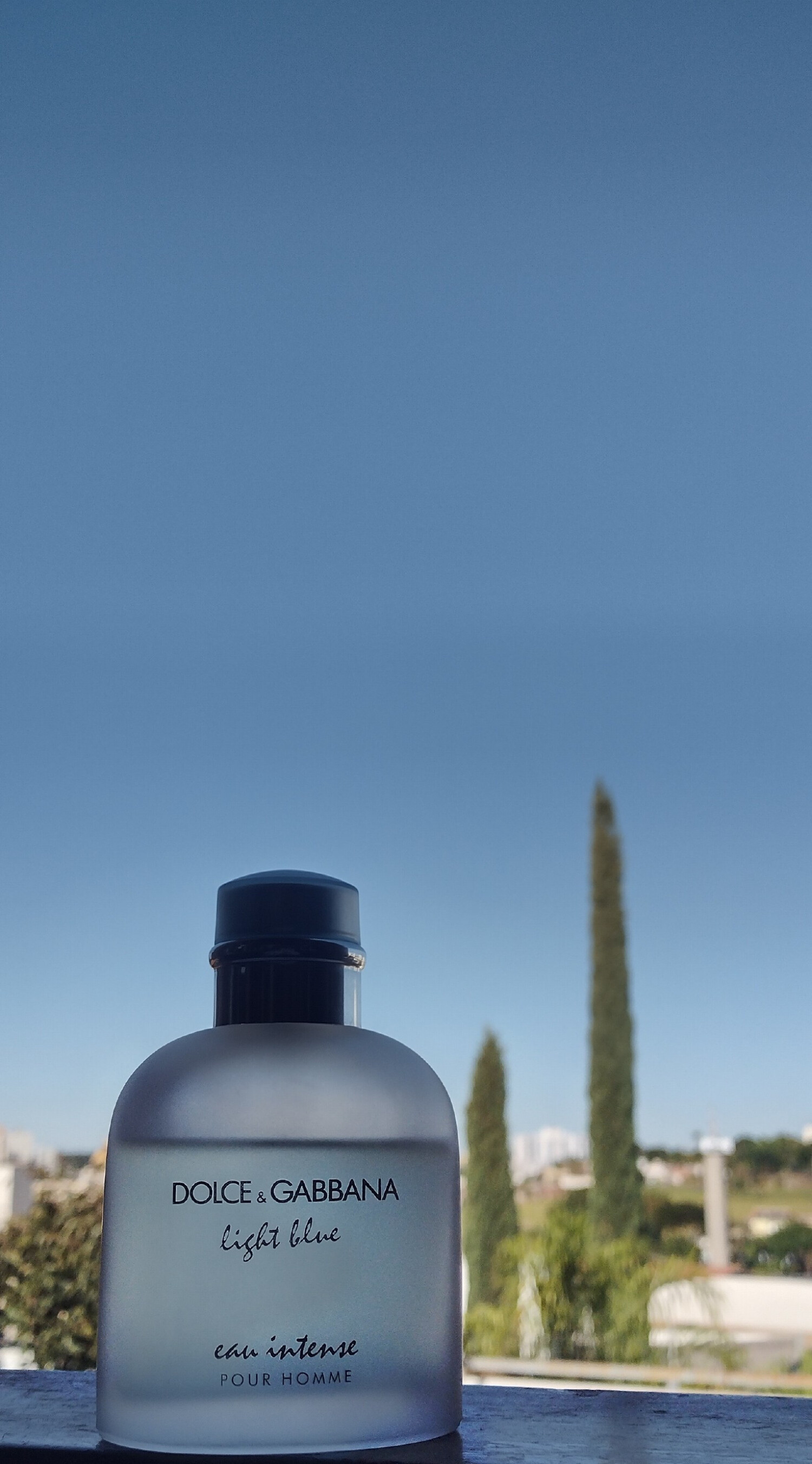 Light Blue Eau Intense Pour Homme Dolce&Gabbana cologne - a fragrance ...
