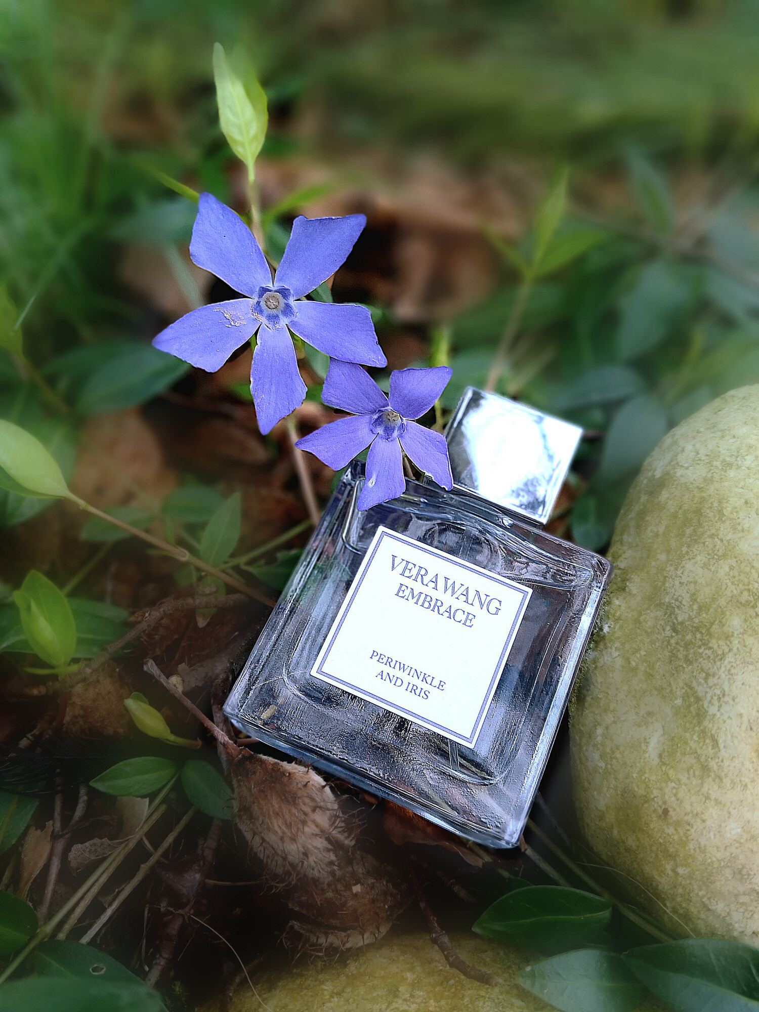 Embrace Periwinkle & Iris Vera Wang perfume - a fragrance for women 2015