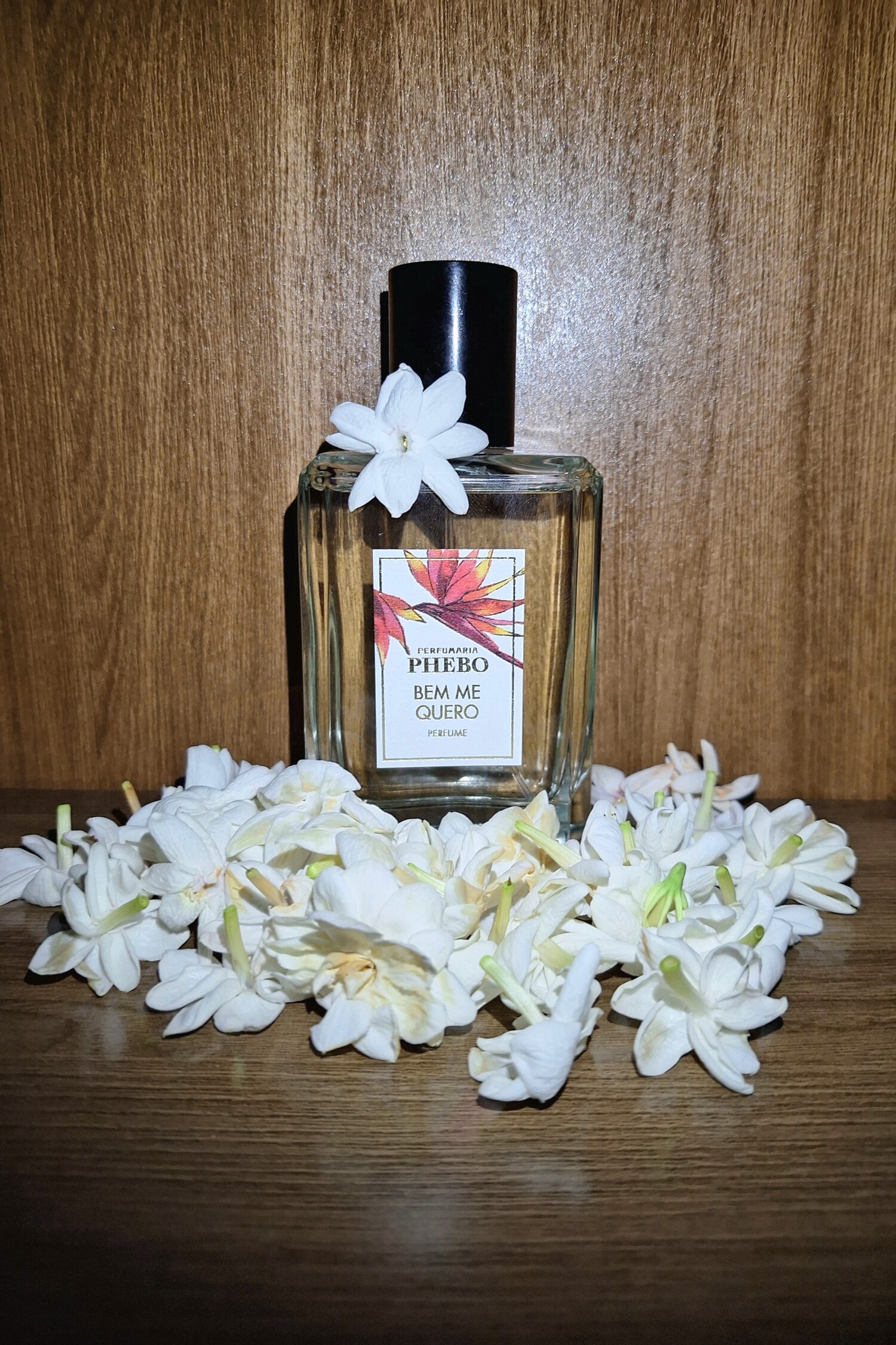 Bem Me Quero Phebo parfum - un parfum pour femme 2022