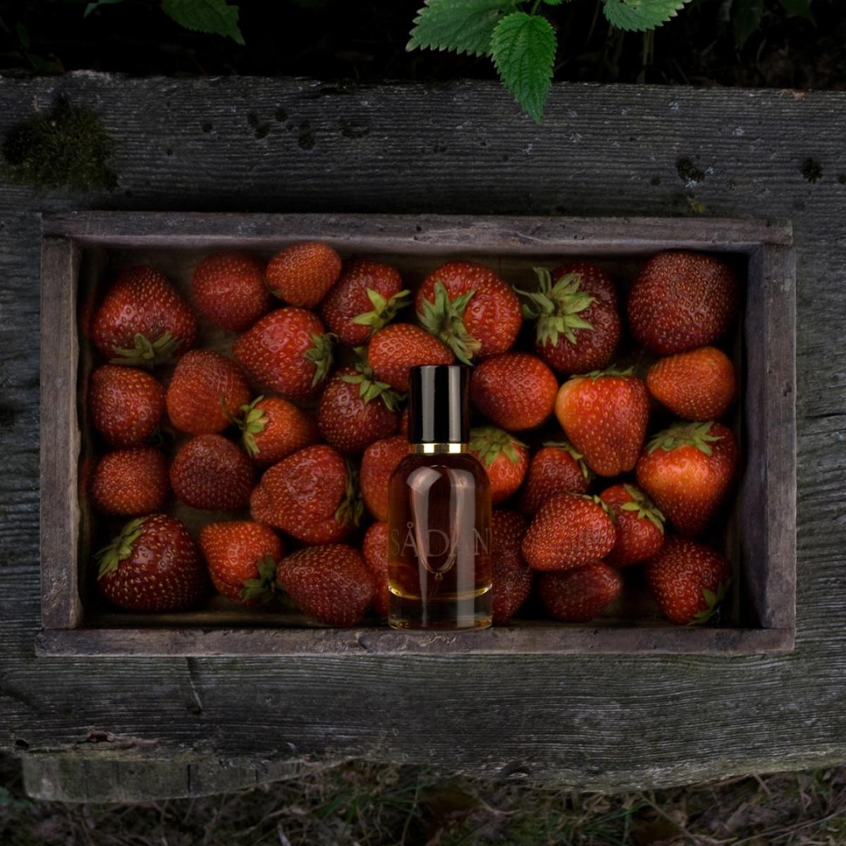 Sadanne Slumberhouse בושם - הינו ניחוח 2014 לנשים וגברים