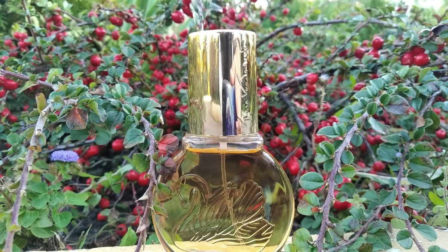 Vanderbilt Gloria Vanderbilt perfume - a fragrance for women 1982